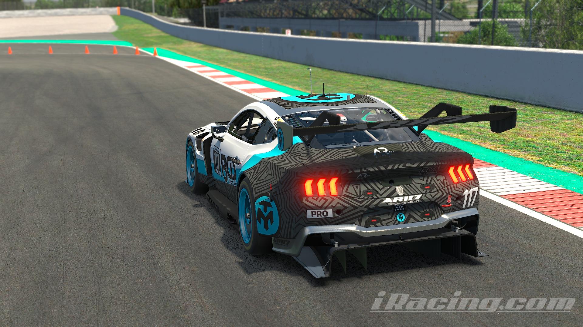 Ford Mustang GT3 tm silver by Arturo Romero - Trading Paints