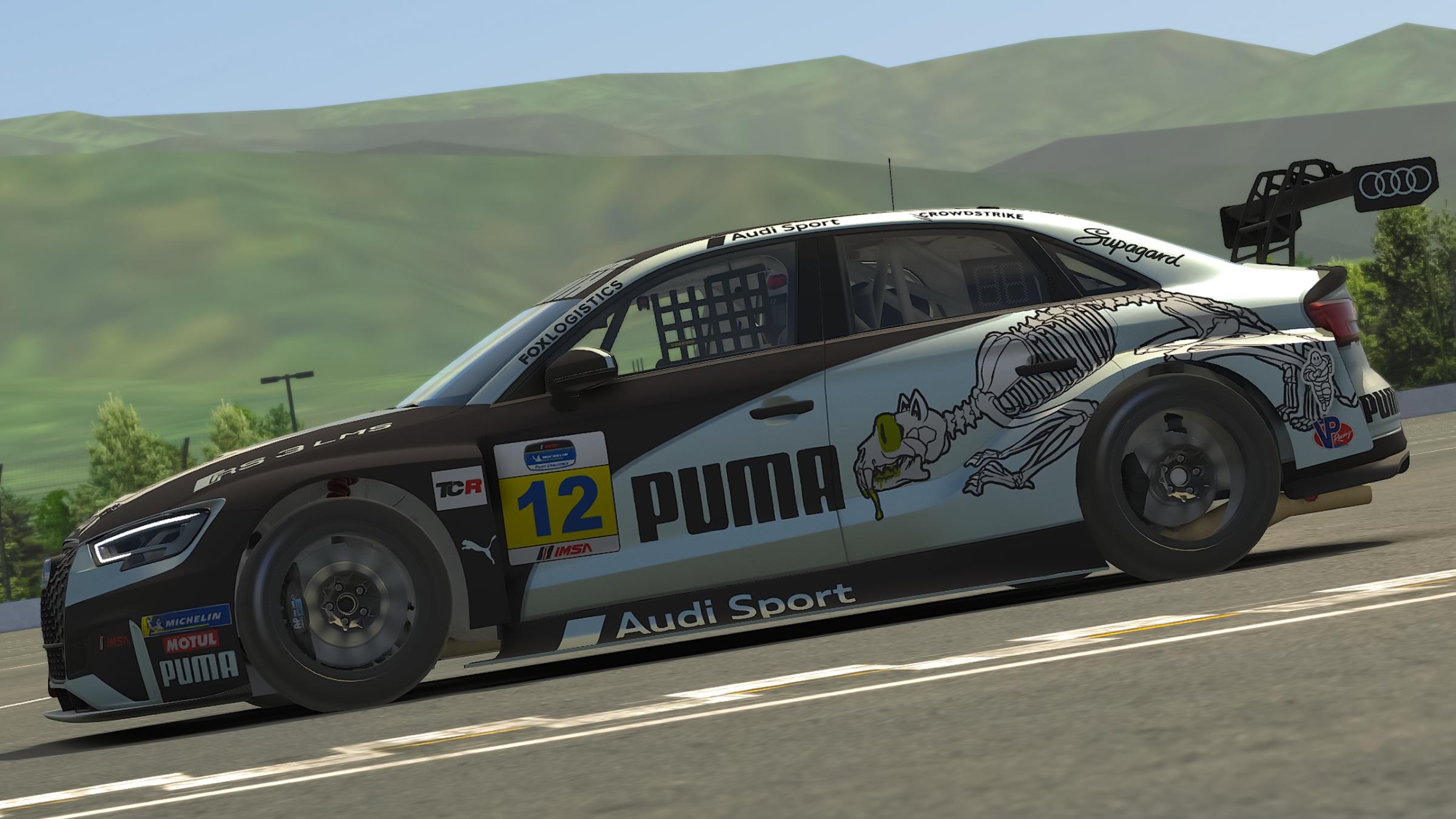 Puma Audi TCR by Paul Metcalfe - Trading Paints