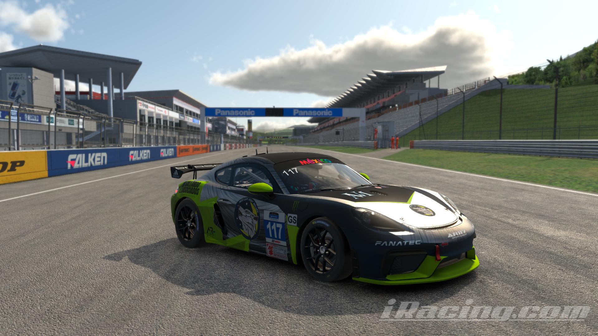 PORSCHE GT4 WOLVES by Arturo Romero - Trading Paints