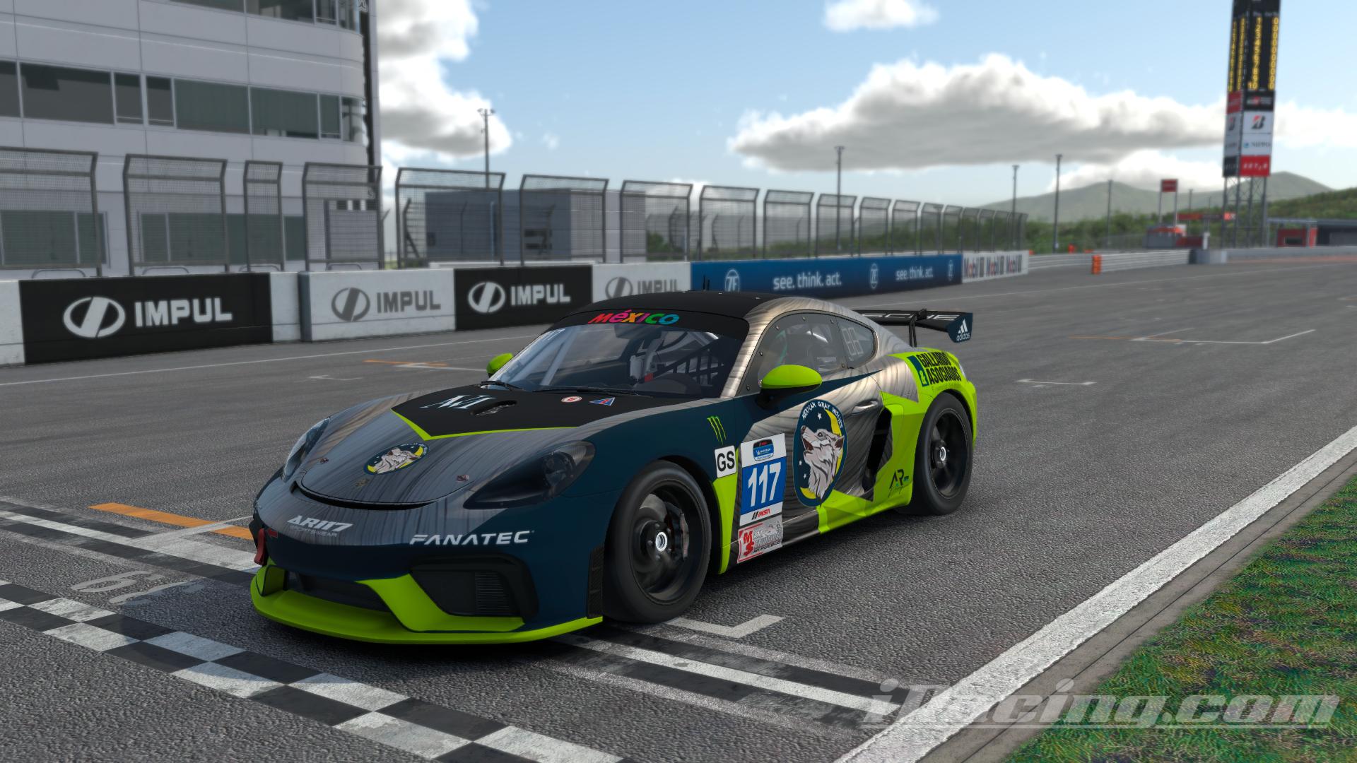 PORSCHE GT4 WOLVES by Arturo Romero - Trading Paints