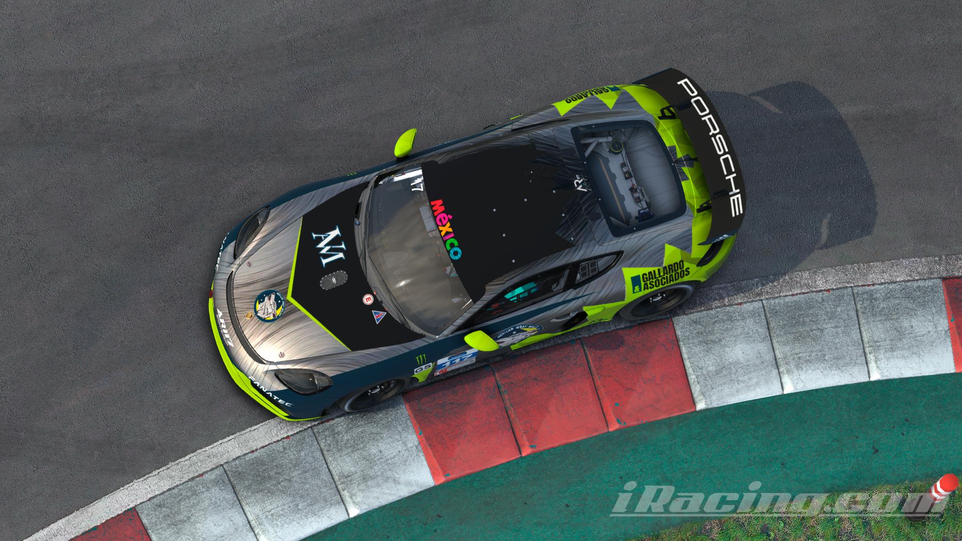PORSCHE GT4 WOLVES by Arturo Romero - Trading Paints