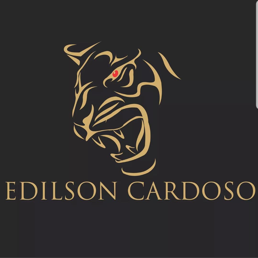 Super Formula Lights RPK Edilson by Fernando Stropa - Trading Paints