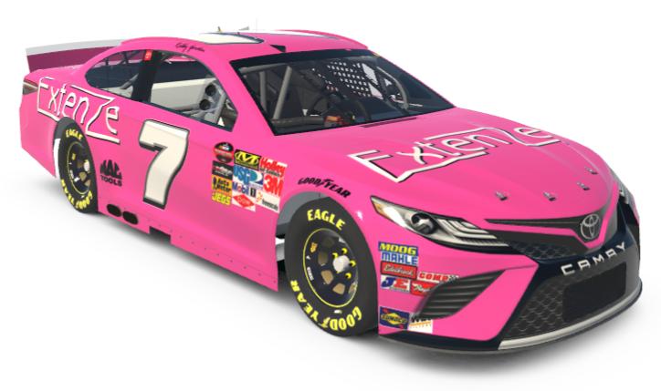 2010 Robby Gordon Motorsports Extenze Breast Cancer Awareness Toyota ...