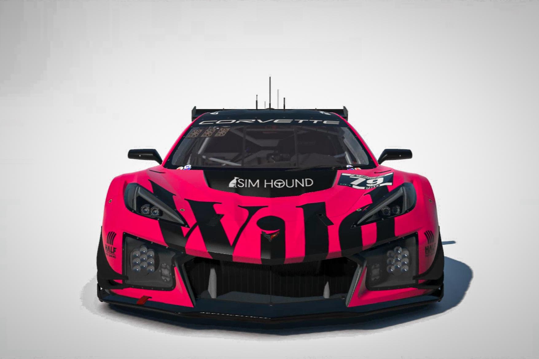 2024 Wild things Racing Corvette GT3 by Denise Pope - Trading Paints