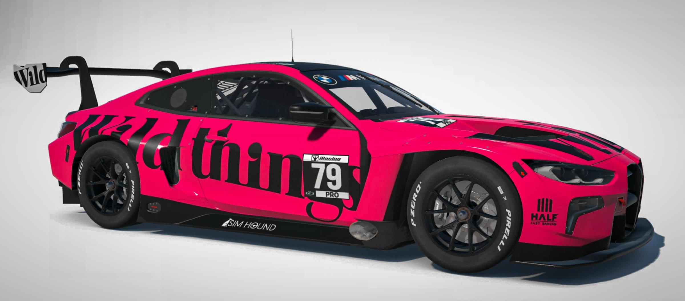 2024 Wild things Racing BMW M4 GT3 by Denise Pope - Trading Paints