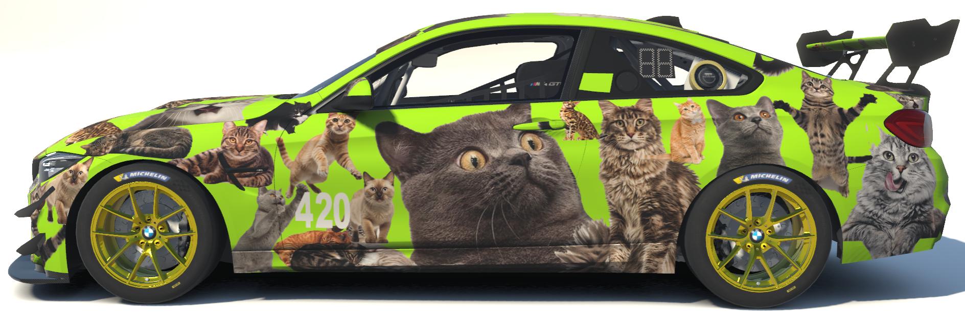 Cats Graffiti Tuning Coupe