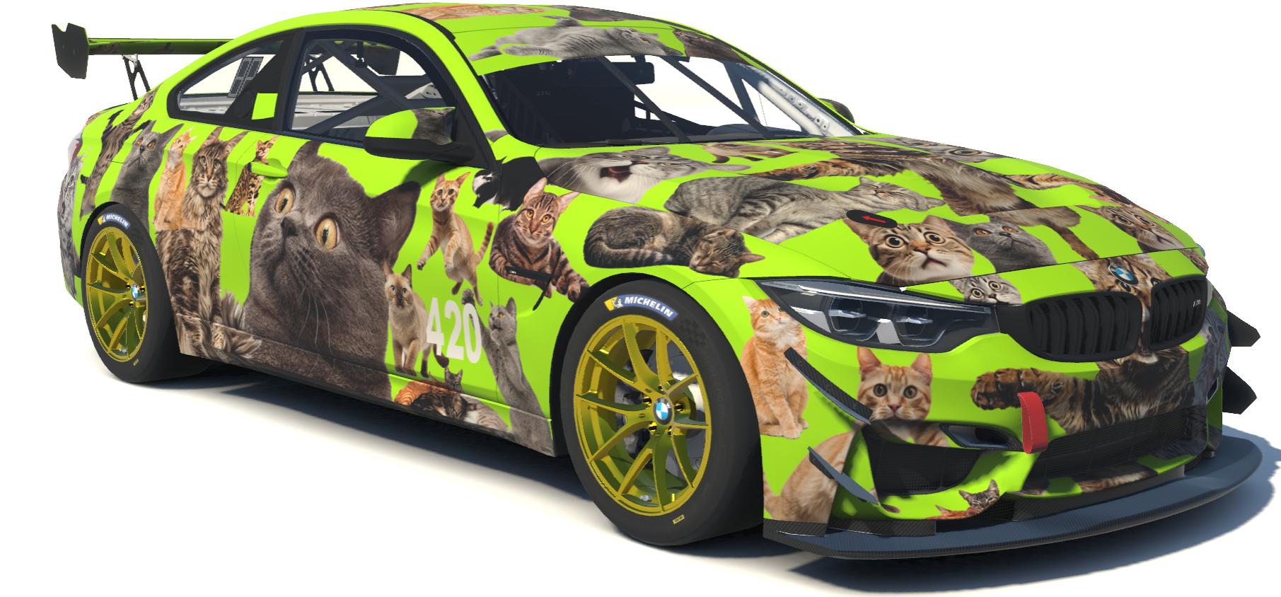 CATS BMW M4 GT4 by Todd Schwarz - Trading Paints