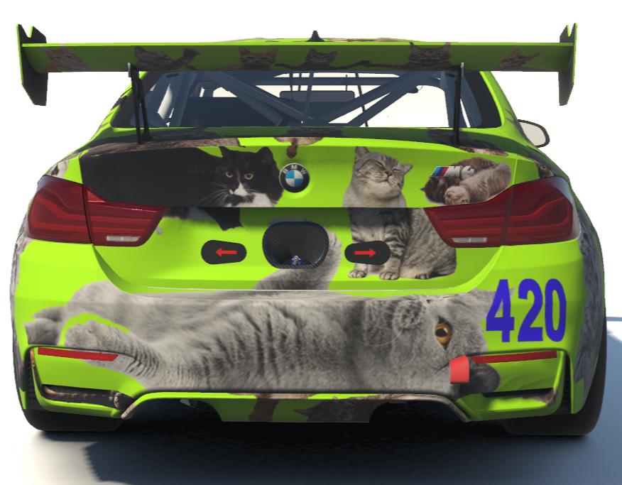 CATS BMW M4 GT4 by Todd Schwarz - Trading Paints