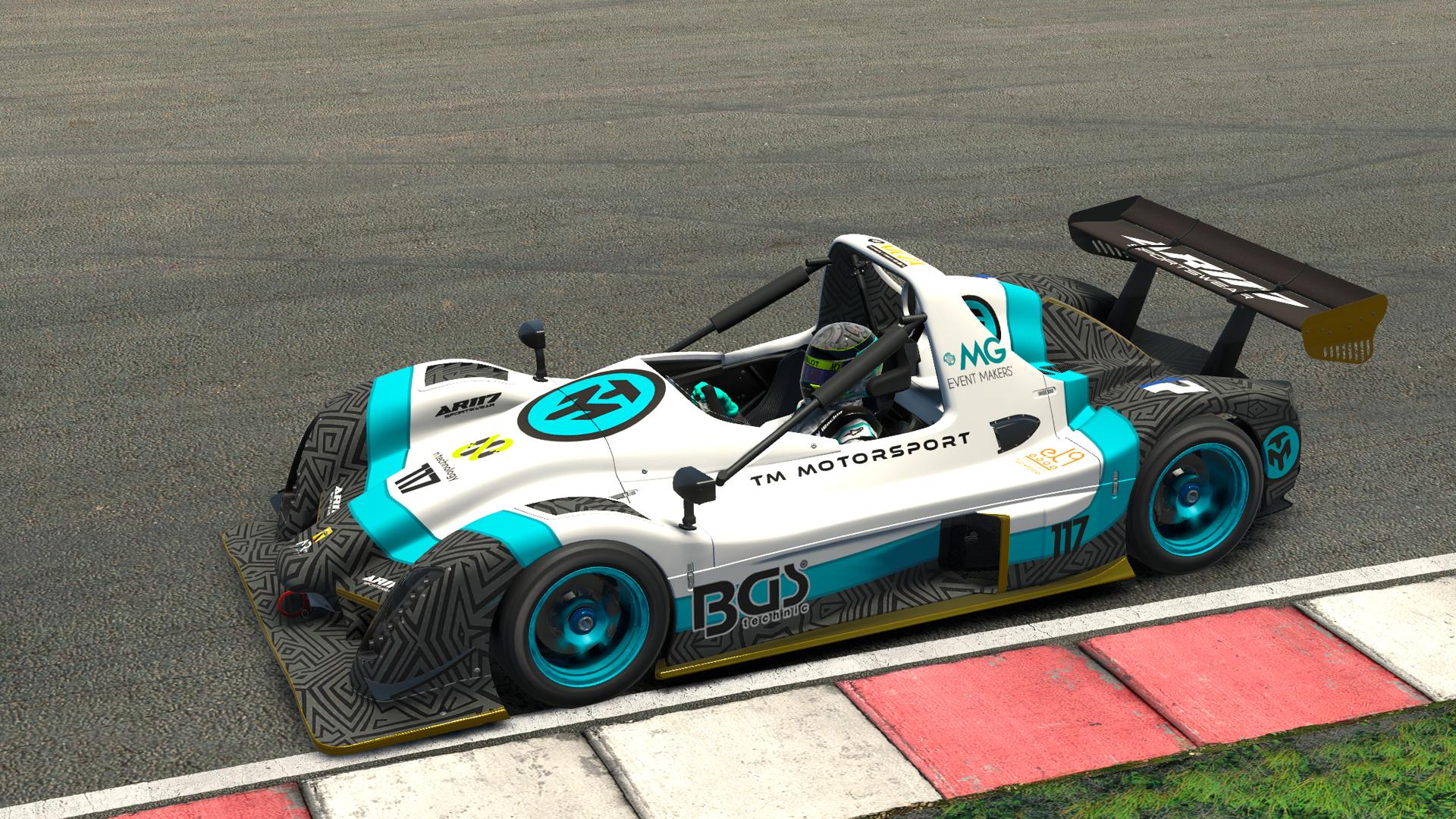 SR10 TM GOLD by Arturo Romero - Trading Paints