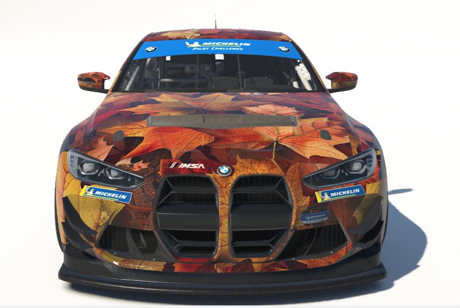 BMW M4 EVO GT4 Autumn Cat by Guy Robertson - Trading Paints