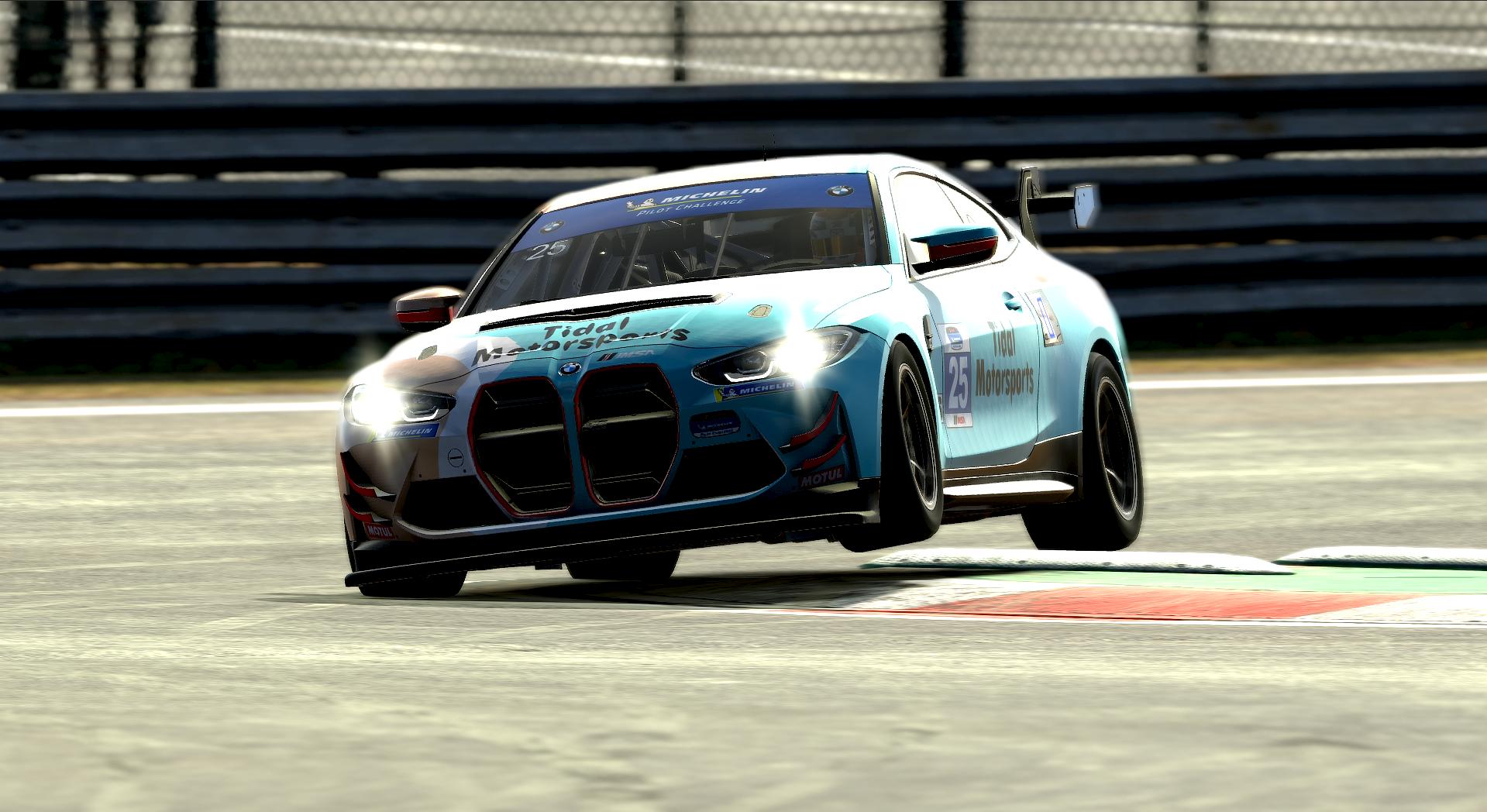 BMW GT4 EVO Tidal Motorsports Red by Tayne Hodesson - Trading Paints