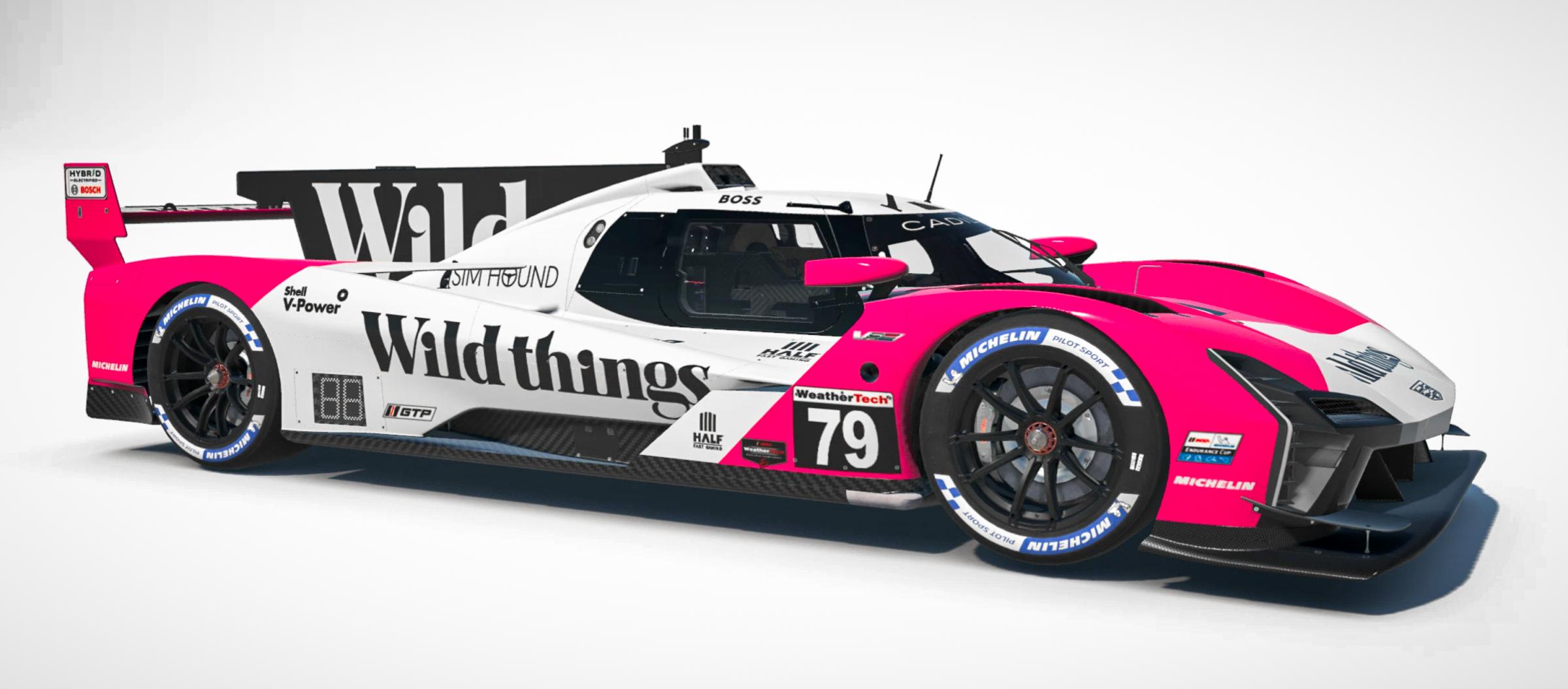 2025 Wild things Racing Cadillac GTP by Denise Pope - Trading Paints