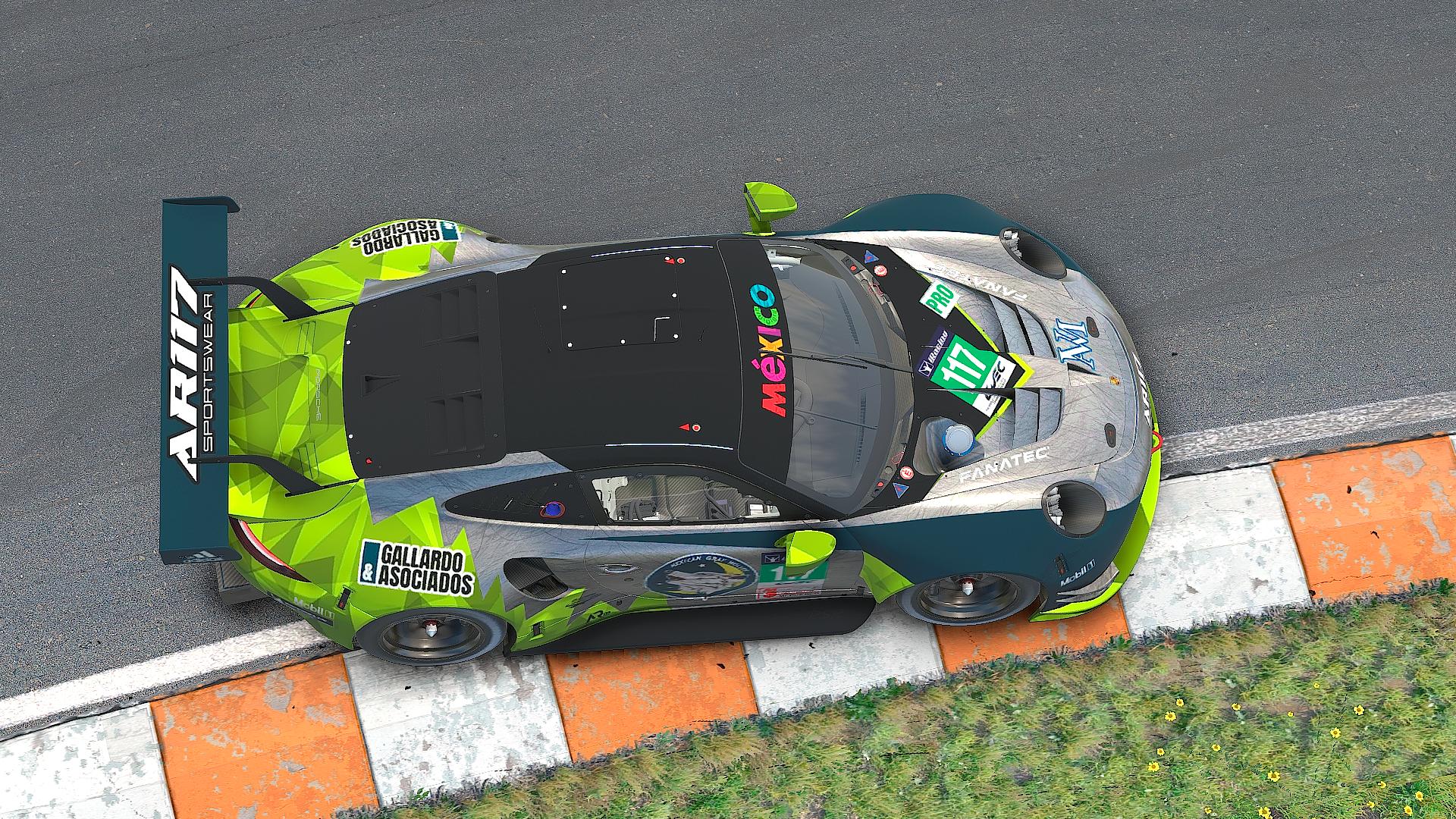 PORSCHE RSR WOLVES by Arturo Romero - Trading Paints
