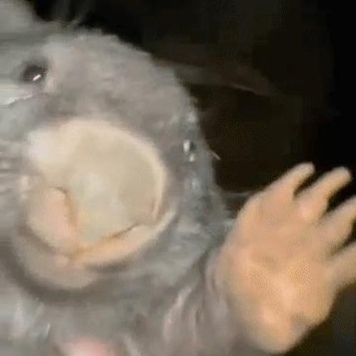 cHaSe HaWl by Kaleb Nickle - Trading Paints