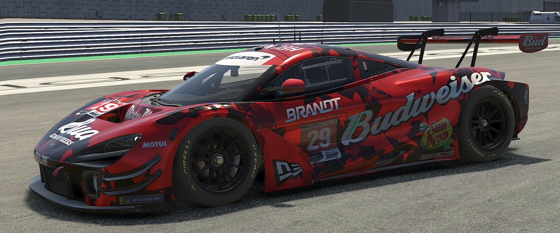 Budweiser by Christopher R. - Trading Paints