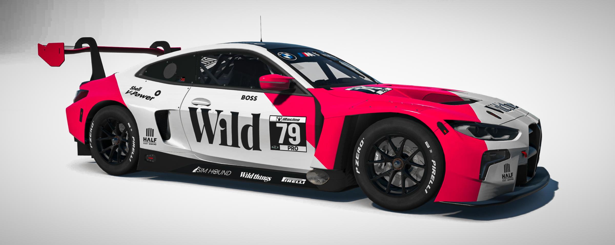 2025 Wild things Racing BMW M4 GT3 by Denise Pope - Trading Paints