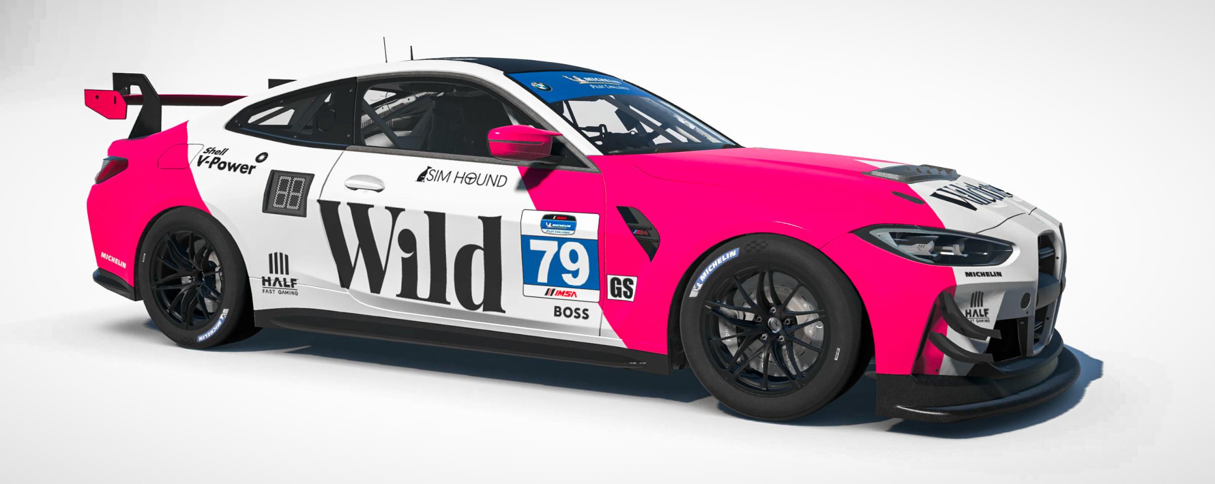 2025 Wild things Racing BMW M4 GT4 by Denise Pope - Trading Paints