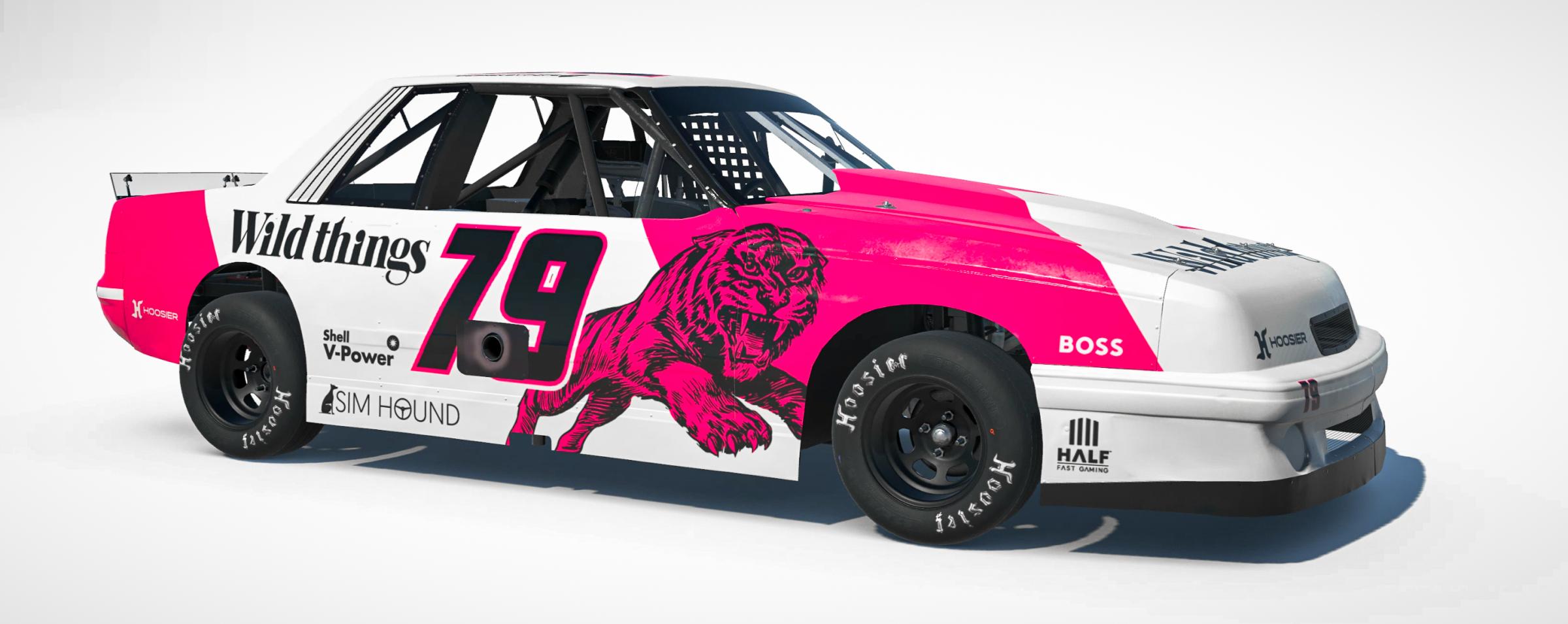 2025 Wild things Racing Mini Stocks by Denise Pope - Trading Paints