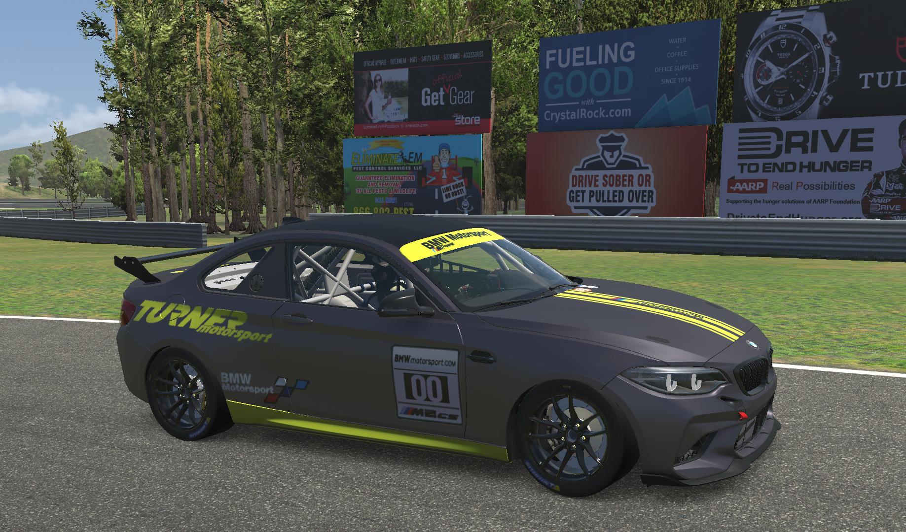 Skyscraper Grey Turner BMW M2 CS Racing TGA by Charlie Hamilton Jr ...