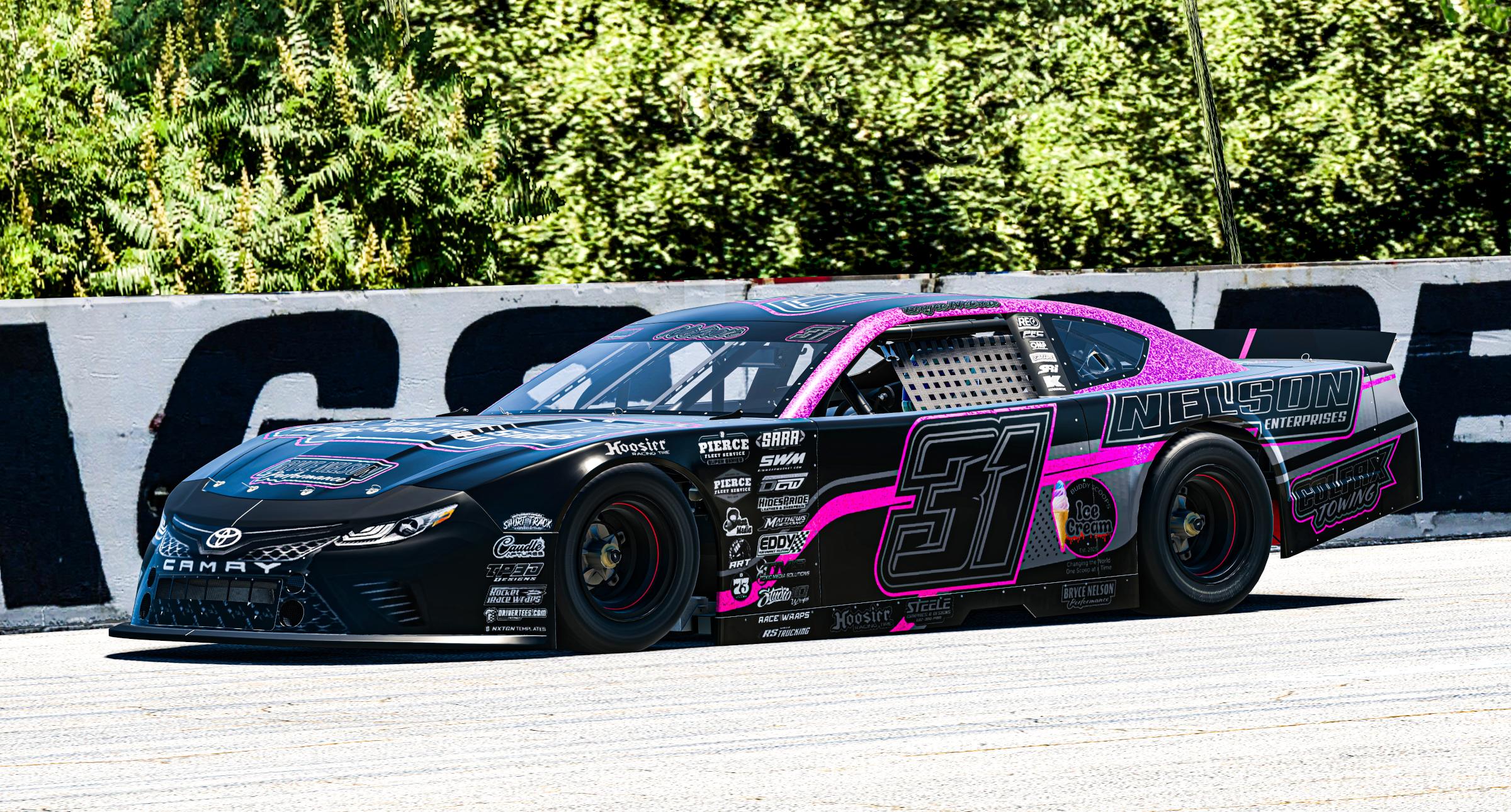 Bryce Nelson-#31 by Michael J. Steele - Trading Paints