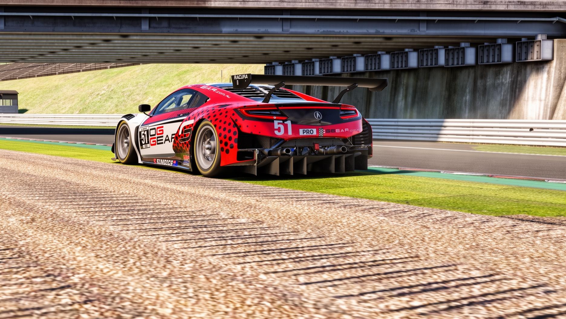 Acura NSX GT3 EVO 22 by Paul Thompson5 - Trading Paints
