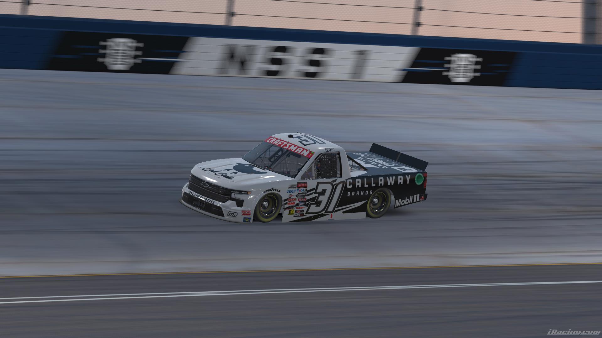 CWM Bad Birdie Truck by Connor W Murphy - Trading Paints