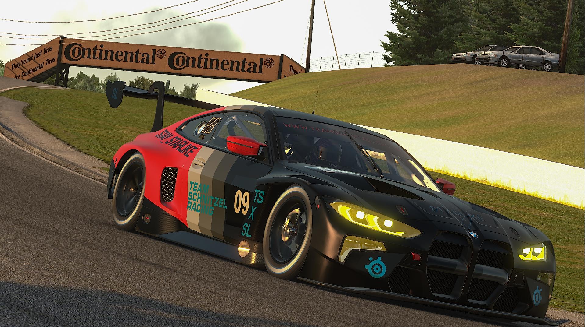 Team Schnitzel X Starlike Team Paint (2025) by Jay Daniels - Trading Paints