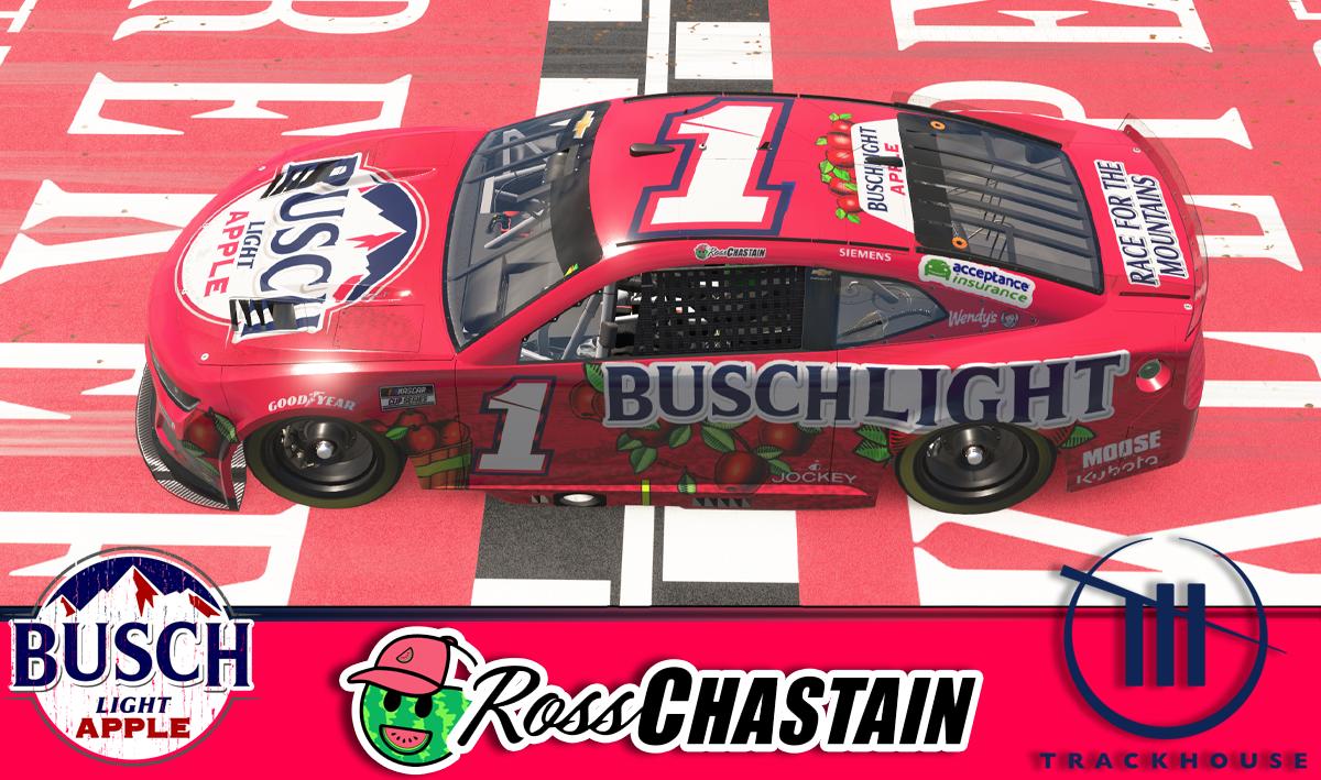 2025 Ross Chastain Busch Light Apple #1 Custom Number by Jethro Anthony ...