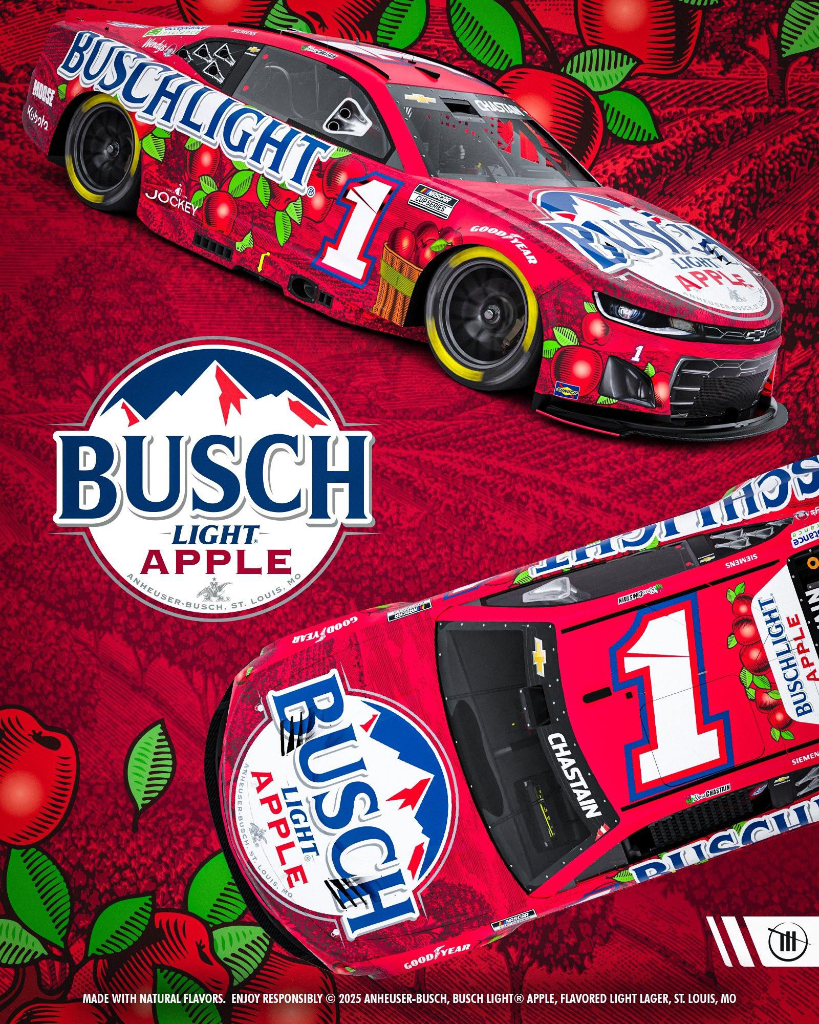 2025 Ross Chastain Busch Light Apple Sim-Stamped Number by Jethro ...