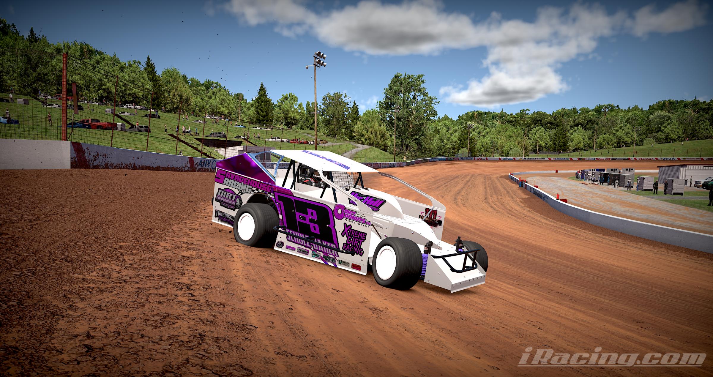 RYAN SCHULZ PURPLE BIG BLOCK #13 by Albert L. - Trading Paints