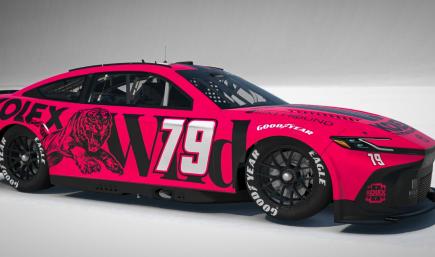 2024 Wild things Racing by Denise Pope - Trading Paints