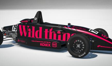 2024 Wild things Racing by Denise Pope - Trading Paints