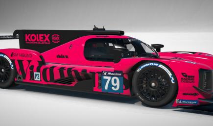 2024 Wild things Racing by Denise Pope - Trading Paints